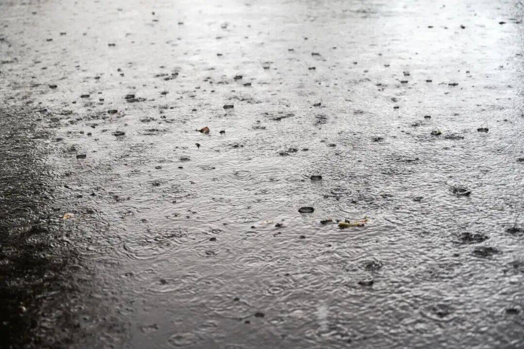雷阵雨+雷电+大雾！今起，宁德天气有变！_全市_小时_气温